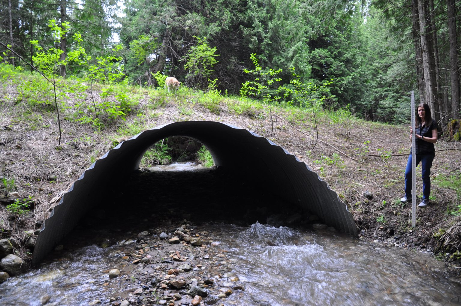 Culvert Projects | Washington - Bridge & Culvert Design Culvert Projects | Washington - Bridge & Culvert Design